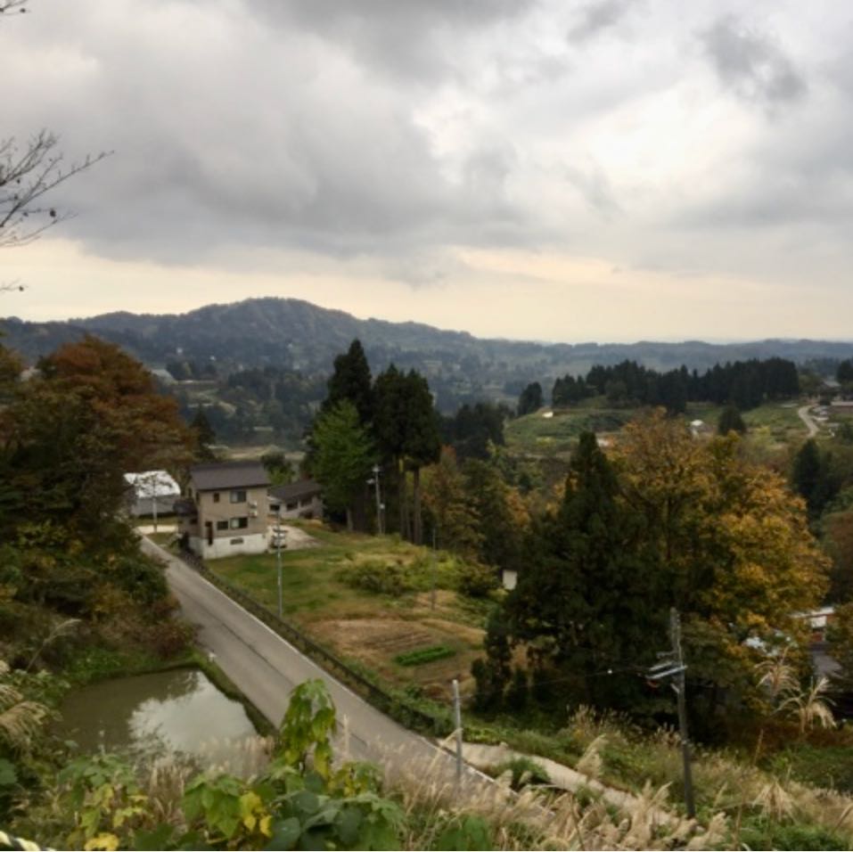 Japan Trip 2015: 1st day in Japan has been amazing – Byer Koi Farm