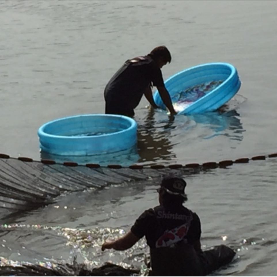 Japan Trip 2015: 2nd day in Japan, amazing ! Again .. :-) – Byer Koi Farm